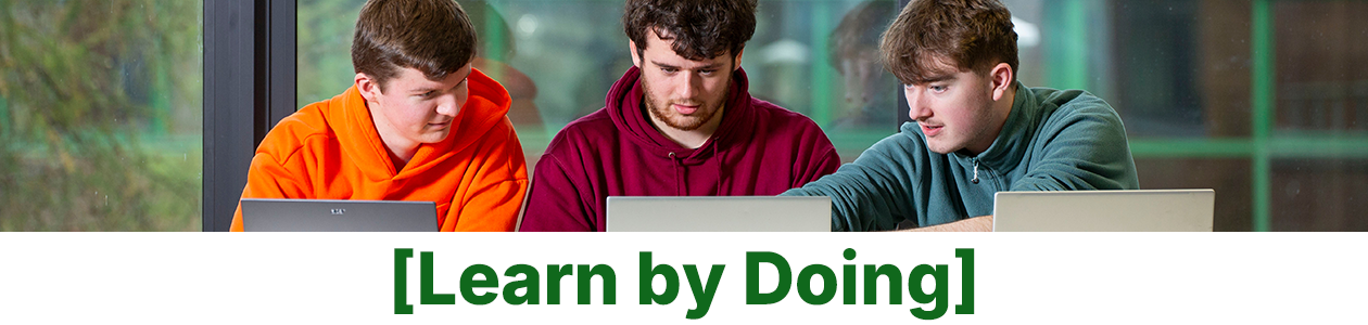 Immersive_Software_Engineering | Software Engineering.ie