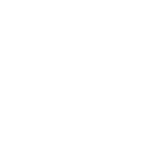 Immersive_Software_Engineering | Software Engineering.ie