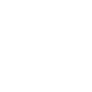 Immersive_Software_Engineering | Software Engineering.ie