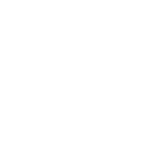 Immersive_Software_Engineering | Software Engineering.ie