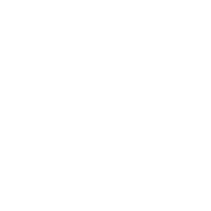 Immersive_Software_Engineering | Software Engineering.ie